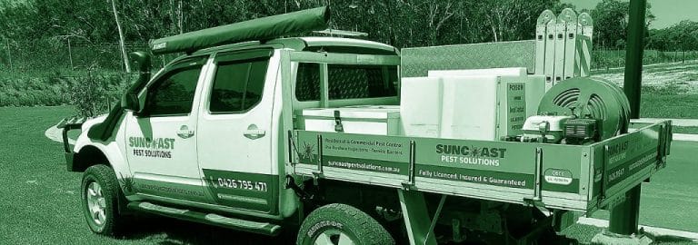 Fipronil & Termite Spray Bunnings | Suncoast Pest Solutions Sunshine ...